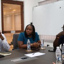 Ghana Cassava Industrialisation and Partnership Project-(GCIPP) | Agri-Impact Group